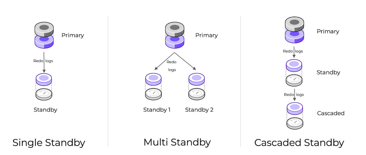 Introducing Native Support for Database Disaster Recovery with Oracle ...